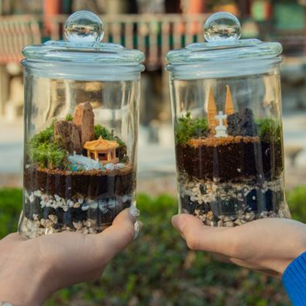 Create Your Own Miniature Ecosystem – Terrarium Making Experience – ₩ ...